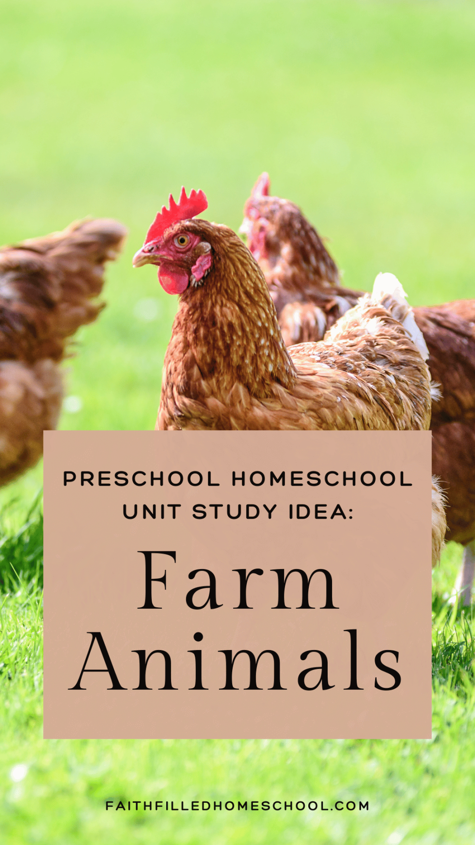 Homeschool Preschool Unit Study Idea: Farm Animals - Faith-Filled ...